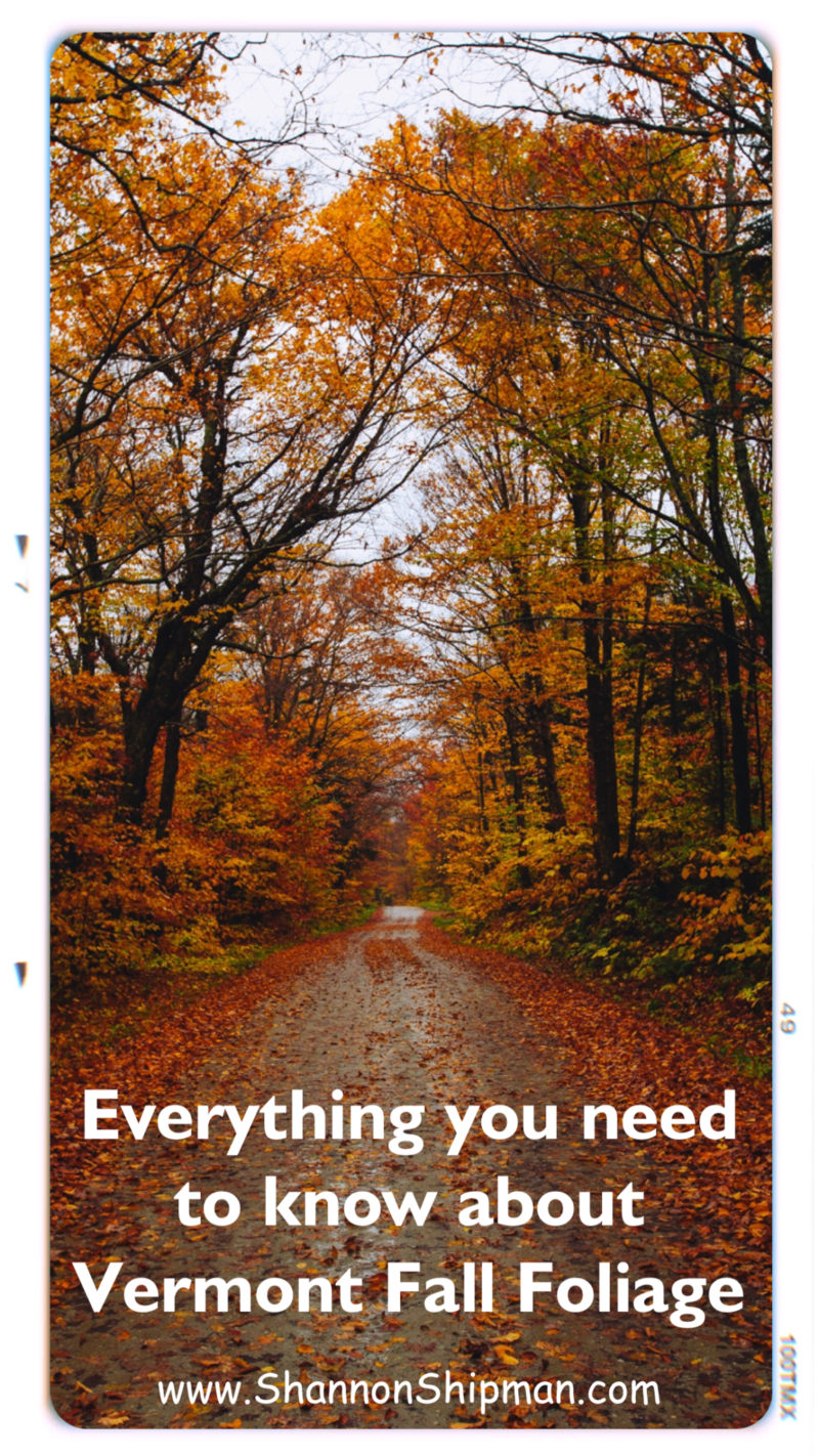 All You Need to Know about Vermont Fall Foliage | Shannon Shipman
